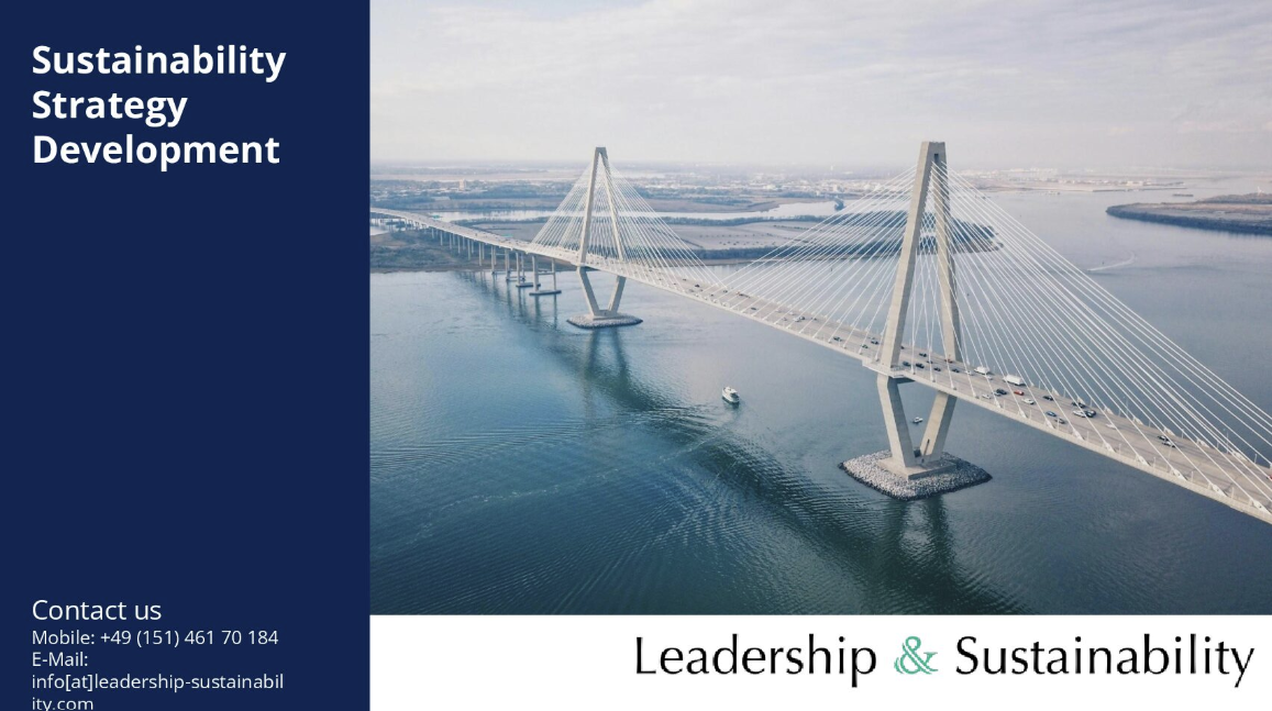 Sustainability Strategy Development
