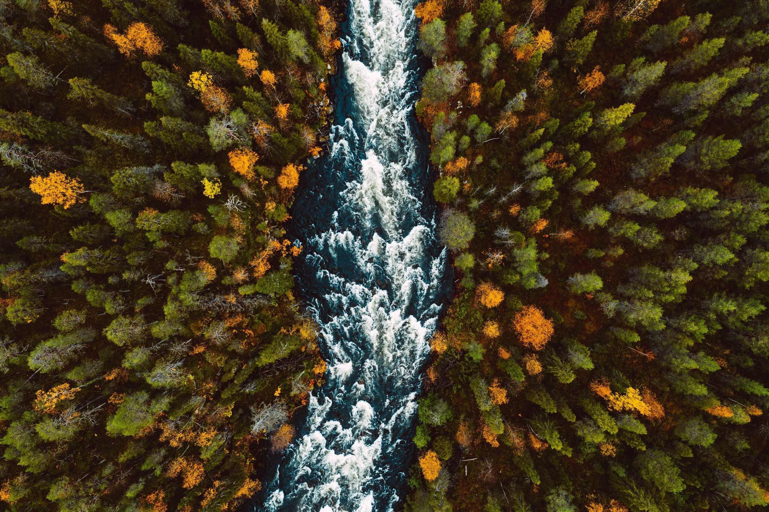 C2C Product Circularity in the Textile Industry